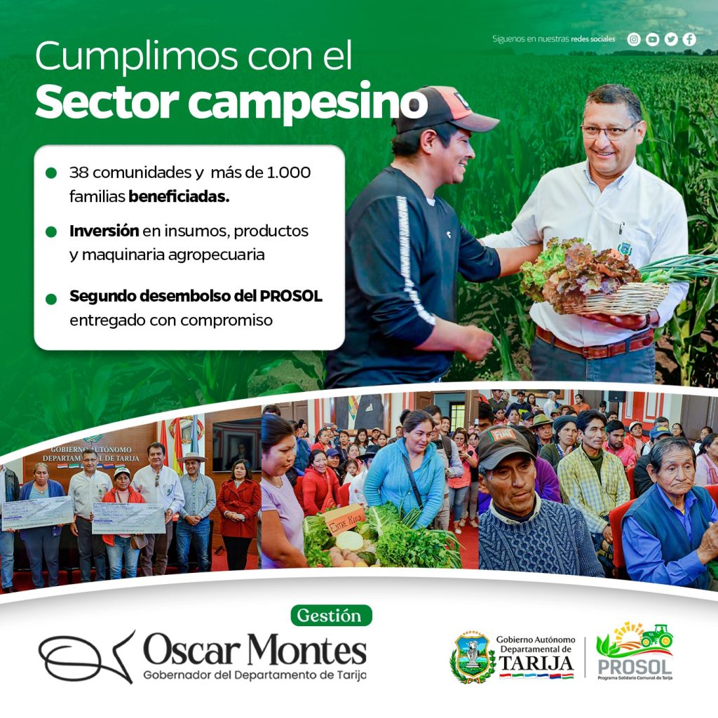 TED advierte que elecciones subnacionales dependen de ley aprobada por ...